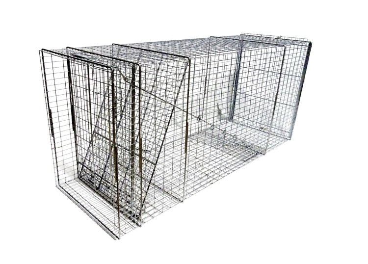Available for Rent – Cat Trap Depot
